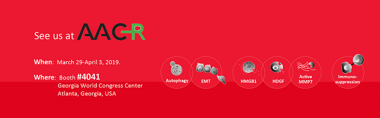 See us at 2019 AACR in Atlanta - News - Company - arigobio