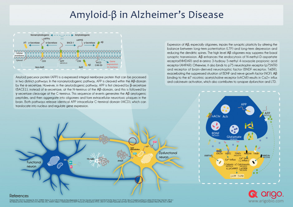 Library - Science - arigo Biolaboratories