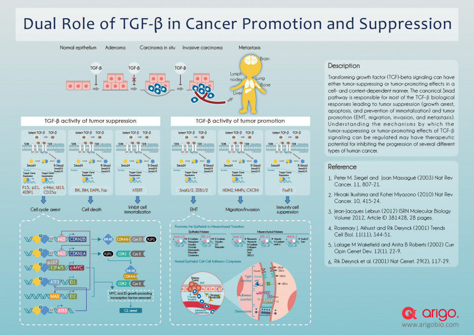 Library - Science - arigo Biolaboratories