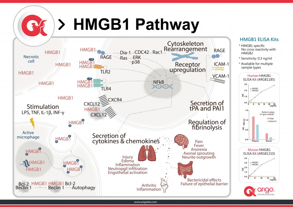 Library - Science - arigo Biolaboratories