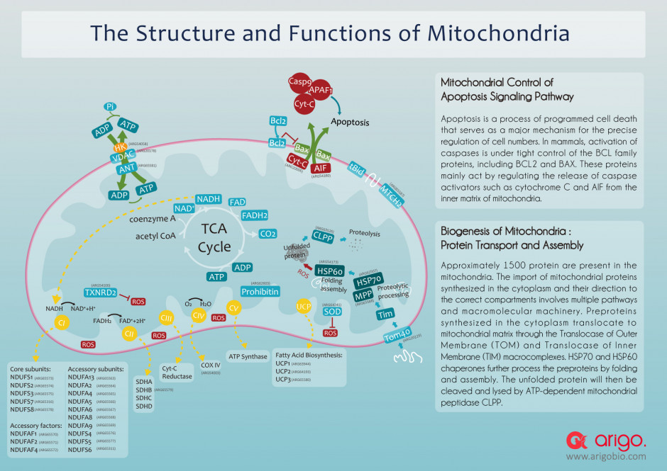 Library - Science - arigobio