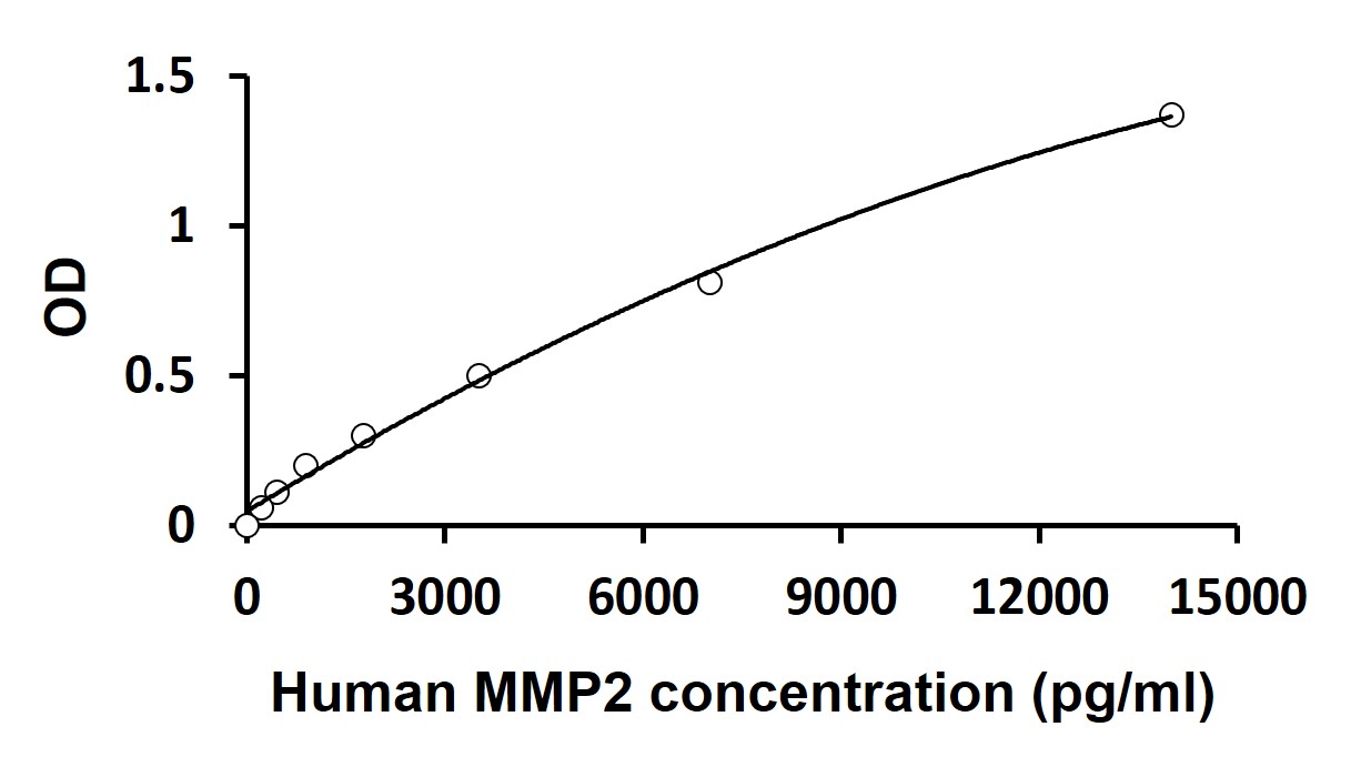 Human MMP2 ELISA 试剂盒 (ARG81374) - arigobio 中国