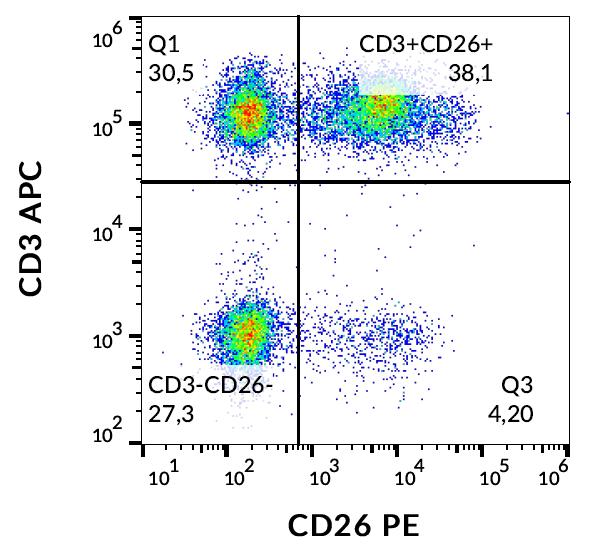 anti-CD26 / DPP4 抗体 [BA5b] (PE) (ARG53803) - arigobio 中国