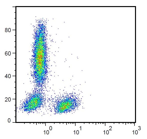 anti-CD28 抗体 [CD28.2] (FITC) (ARG62795) - arigobio 中国