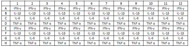 arigoPLEX® Mouse Proinflammatory Cytokine Multiplex ELISA Kit - arigobio