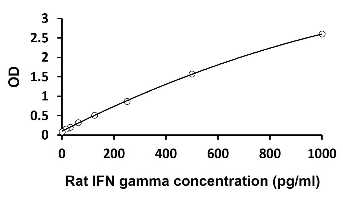 Rat IFN gamma ELISA 试剂盒 (ARG80240) - arigobio 中国